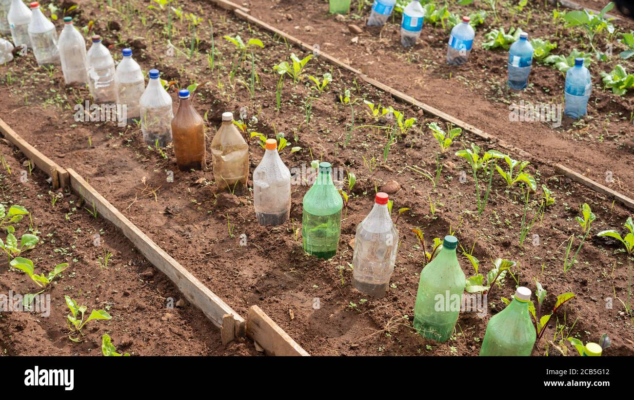 Plastic bottles garden hi-res stock photography and images - Alamy