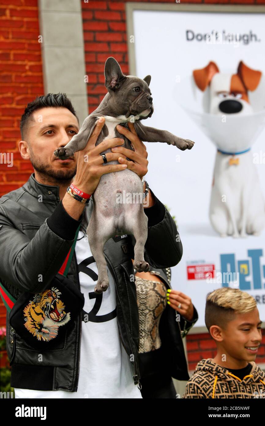 LOS ANGELES - JUN 2: Andrea Espada's dog at the "The Secret Life of ...