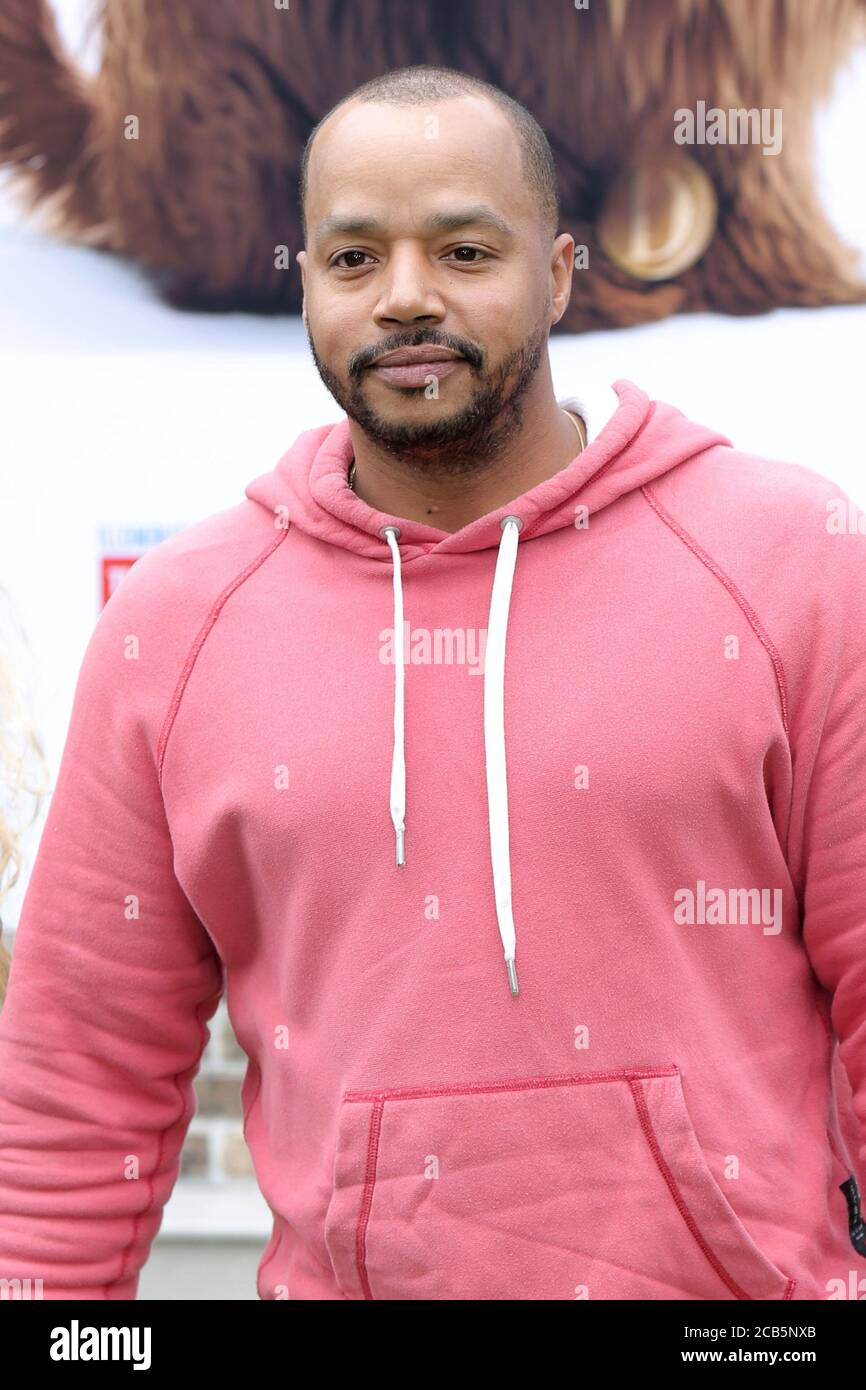 LOS ANGELES - JUN 2: Donald Faison at the "The Secret Life of Pets 2 ...