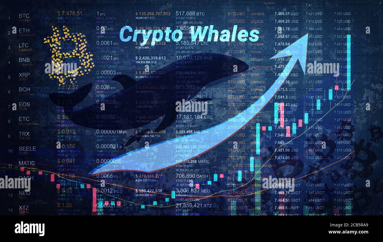 Growth in the number of crypto whales with an upward arrow and a chart ...