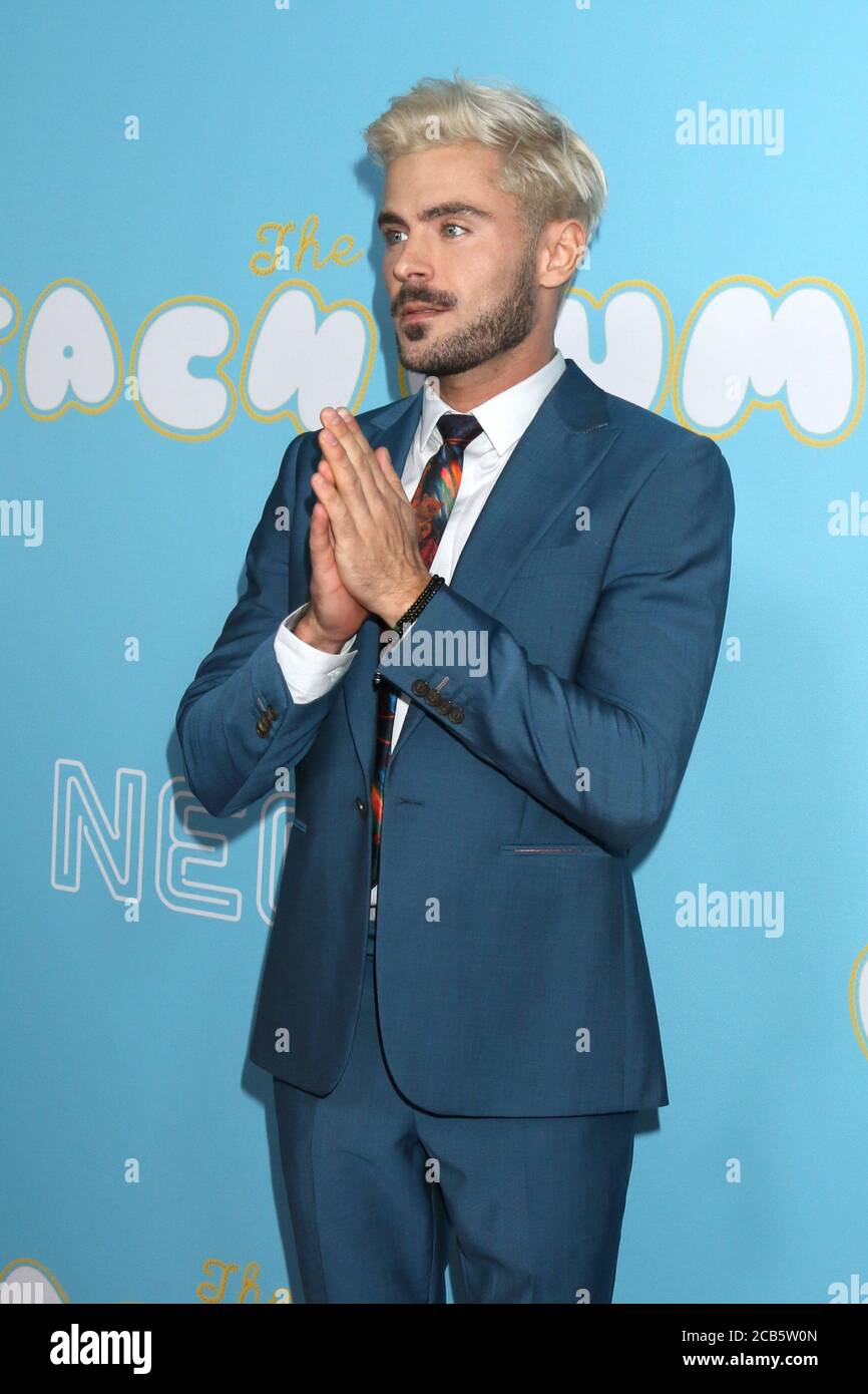 LOS ANGELES - MAR 28: Zac Efron at "The Beach Bum" Premiere at the ...