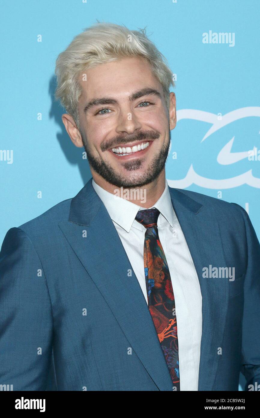 LOS ANGELES - MAR 28: Zac Efron at "The Beach Bum" Premiere at the ...