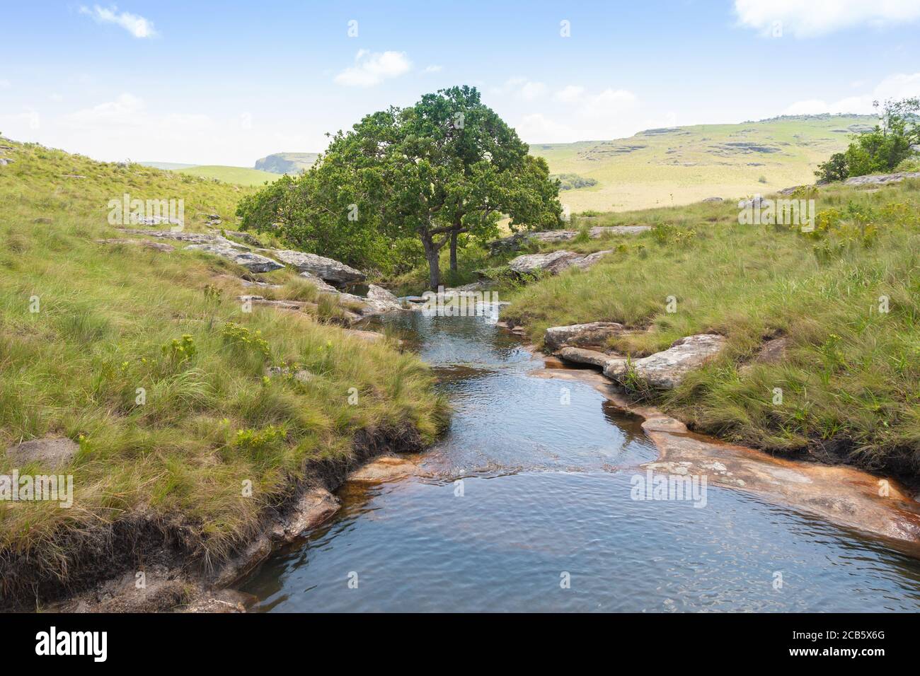 Landscape along a tributary of the Bulolo River in Umtamvuna Nature ...
