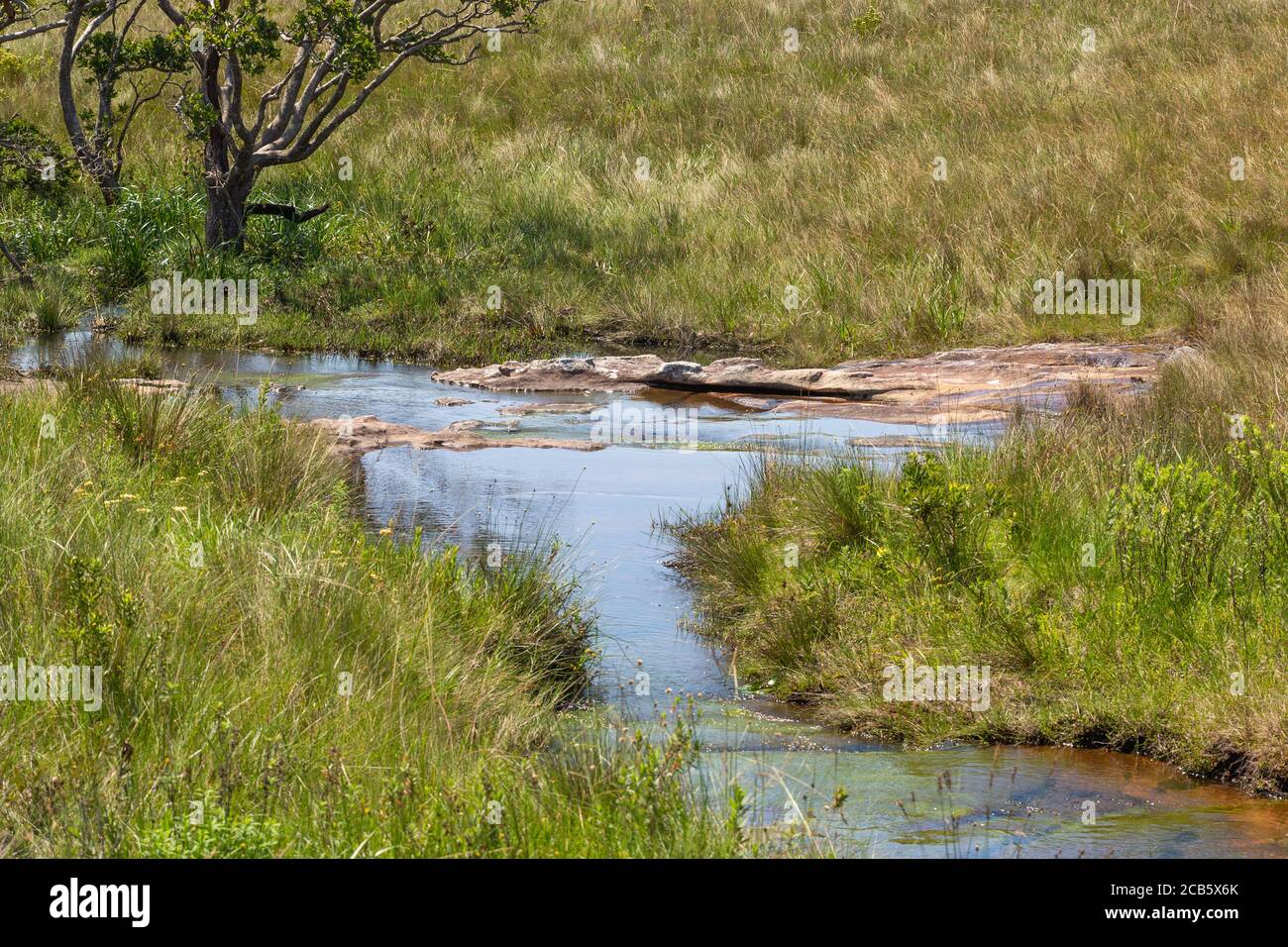Landscape along a tributary of the Bulolo River in Umtamvuna Nature ...