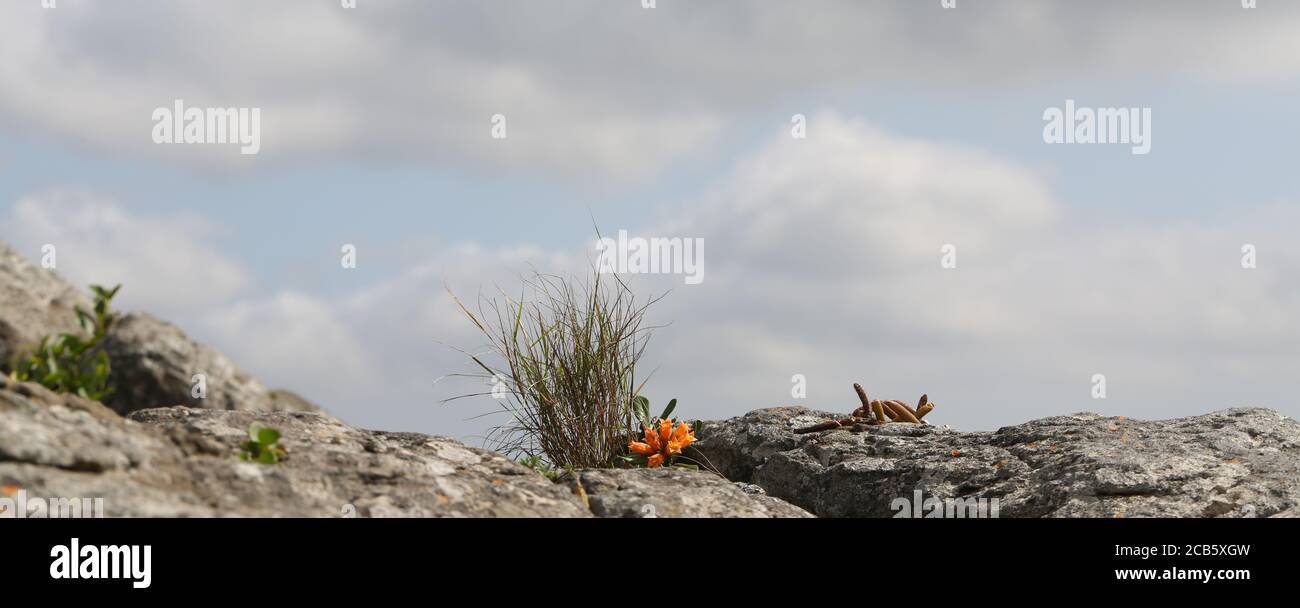 Umtamvuna nature reserve hi-res stock photography and images - Alamy
