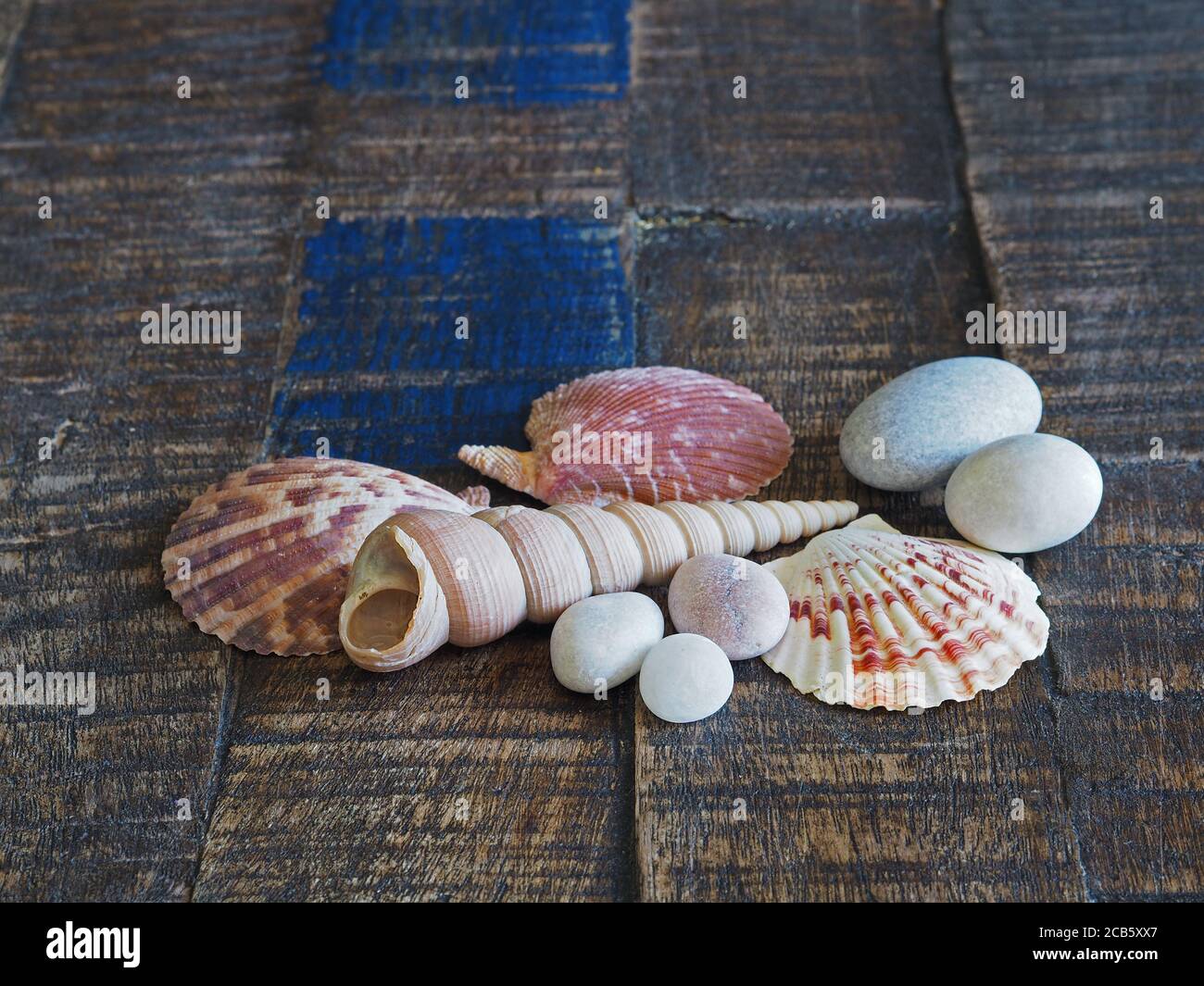 close up shells and pebbles still life on a old plank wooden desk Stock ...