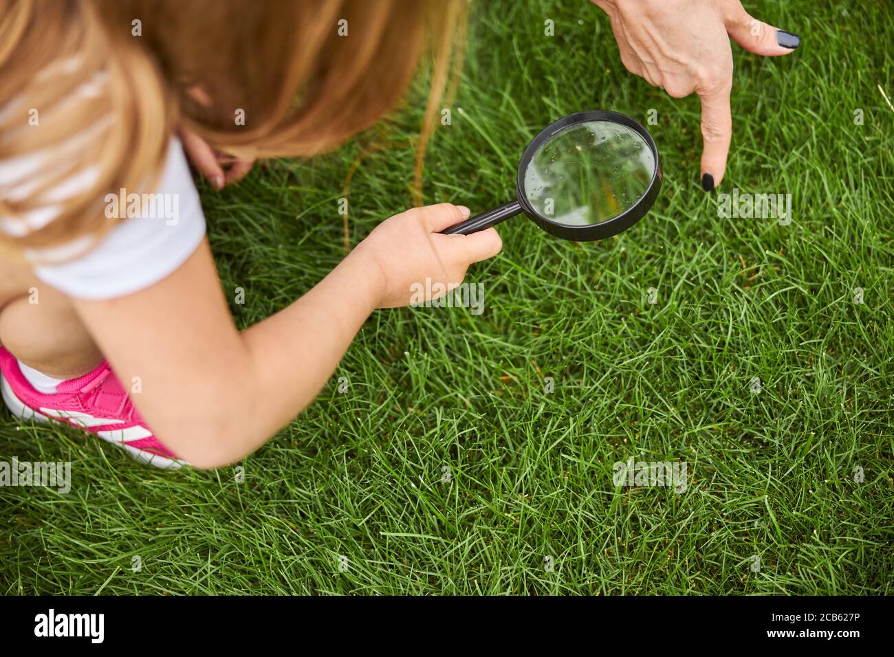 Little girl searching something in the green grass Stock Photo - Alamy