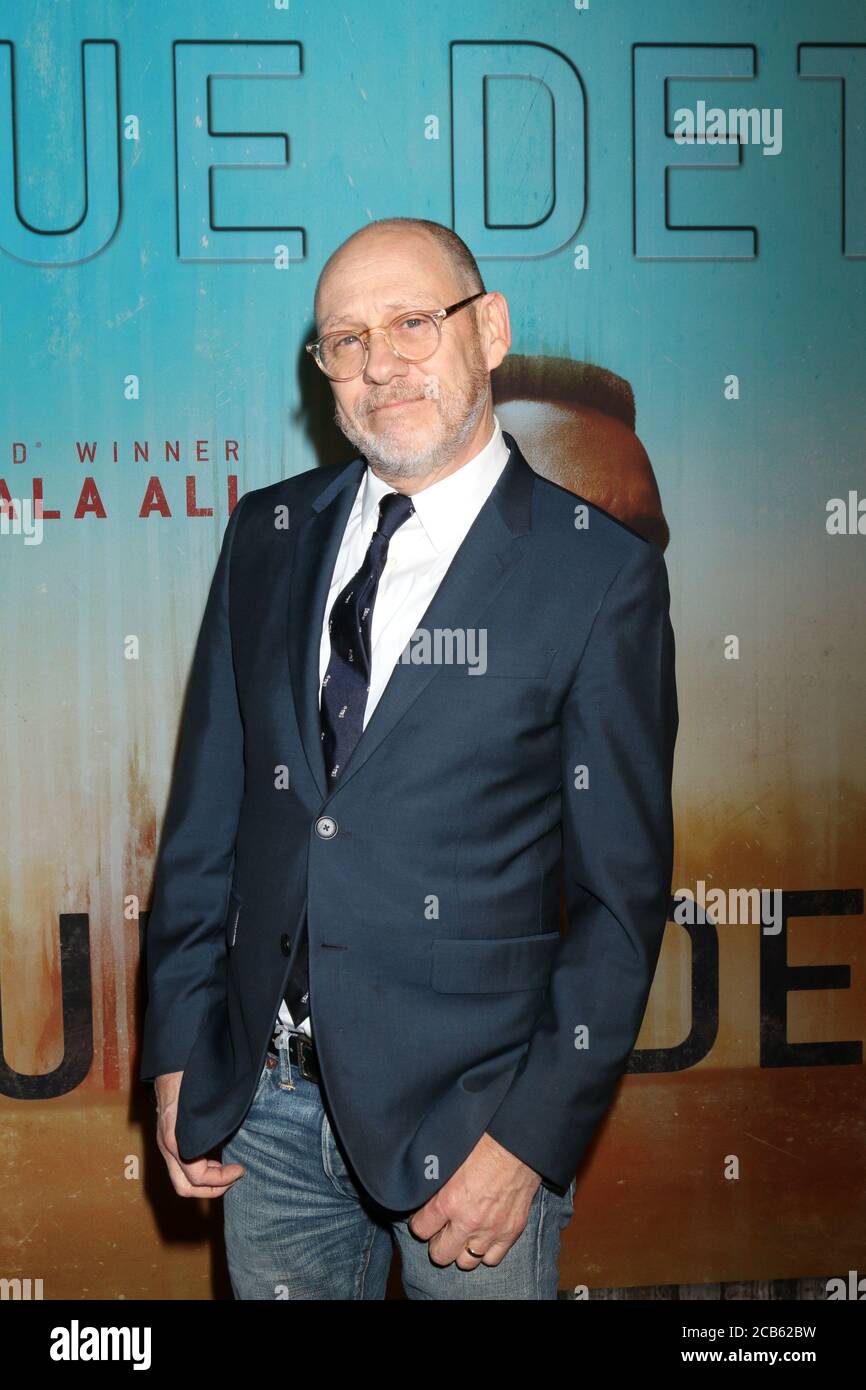 LOS ANGELES - JAN 10: Daniel Sackheim at the "True Detective" Season 3 ...