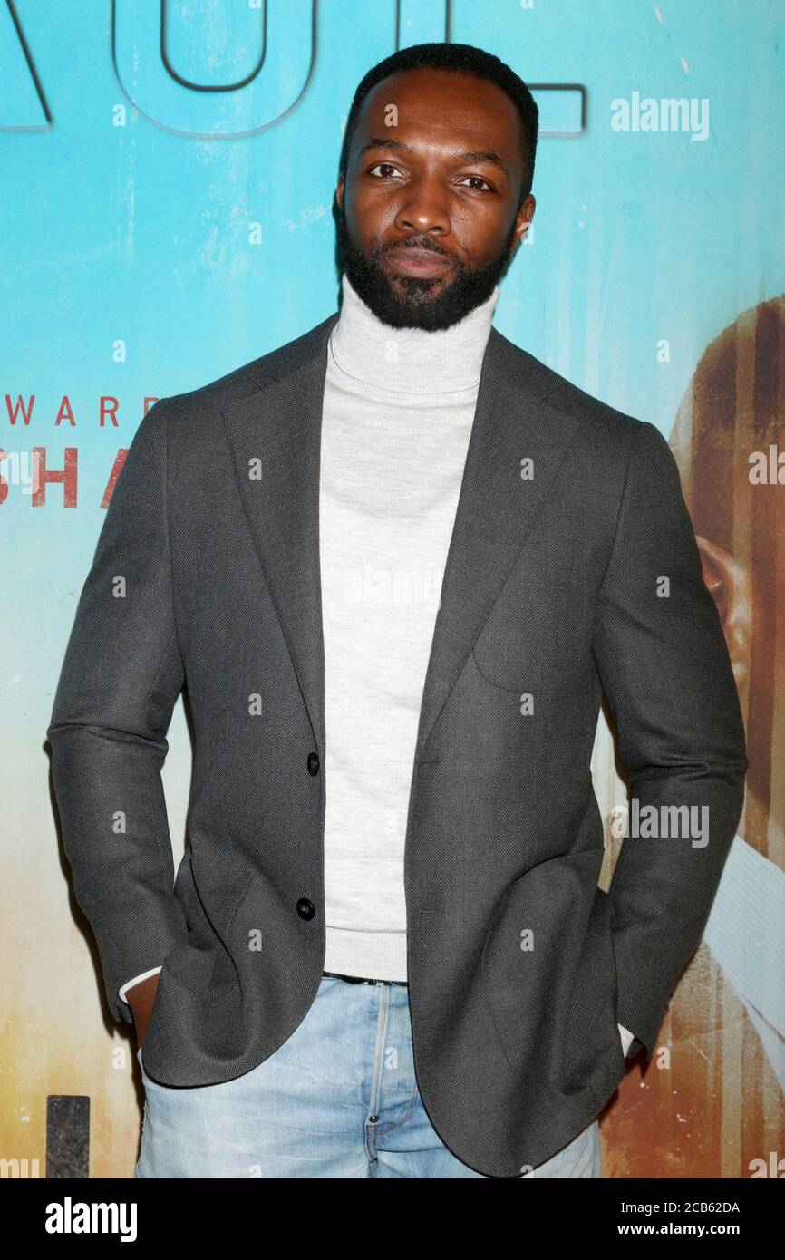 LOS ANGELES - JAN 10: Jamie Hector at the "True Detective" Season 3 ...