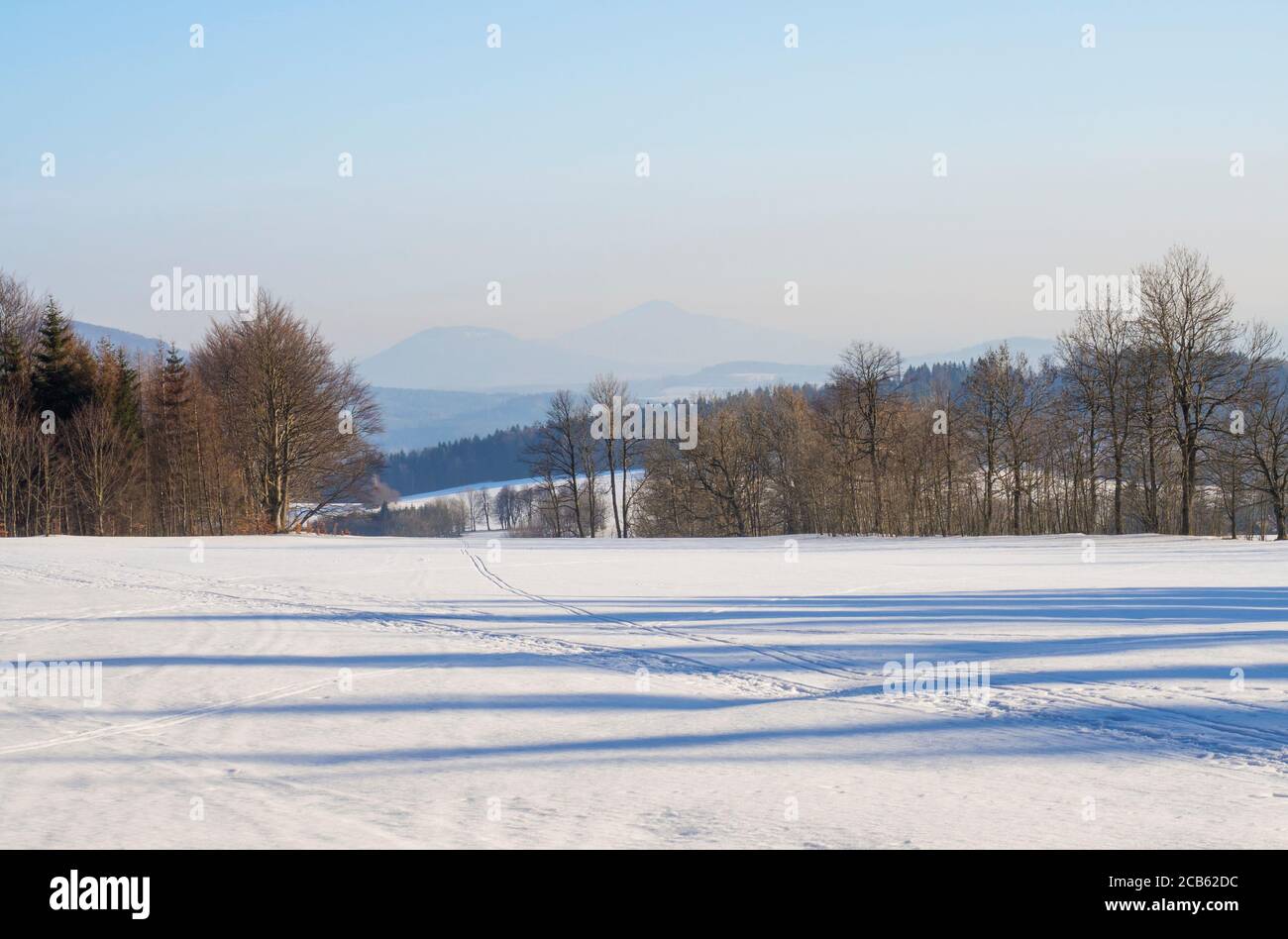winter field and forest countryside snow covered panoramic landscape ...