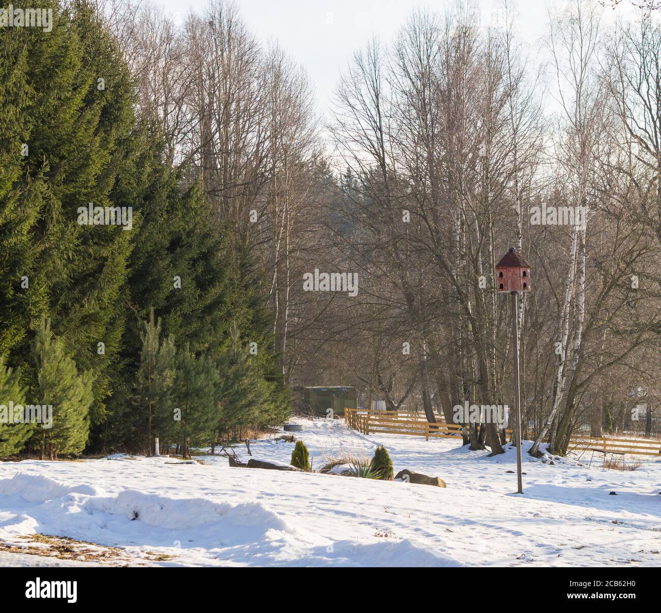 winter landscape with bird nesting box in winter park with birch tree ...