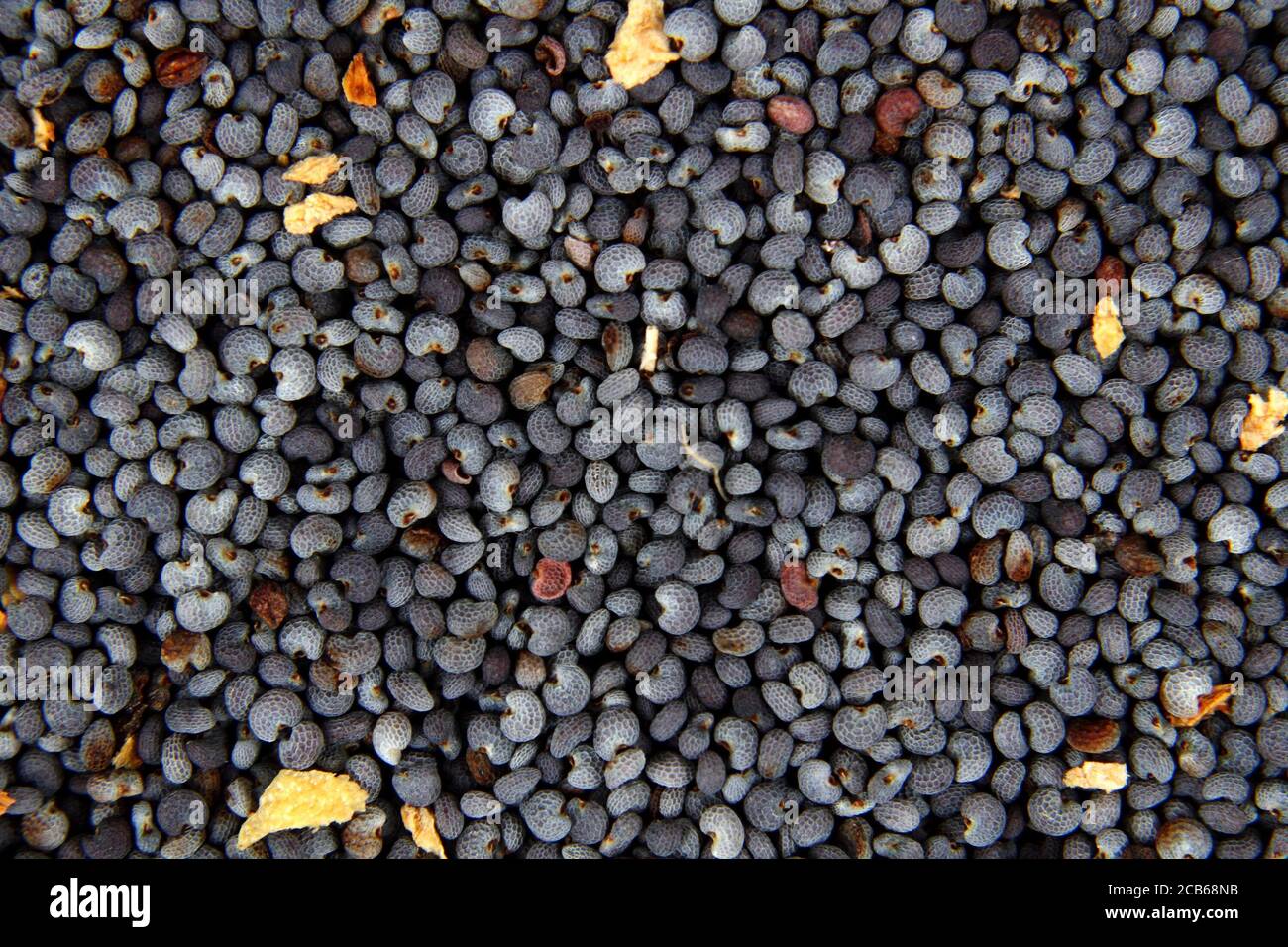 detail of poppy as nice food background Stock Photo - Alamy