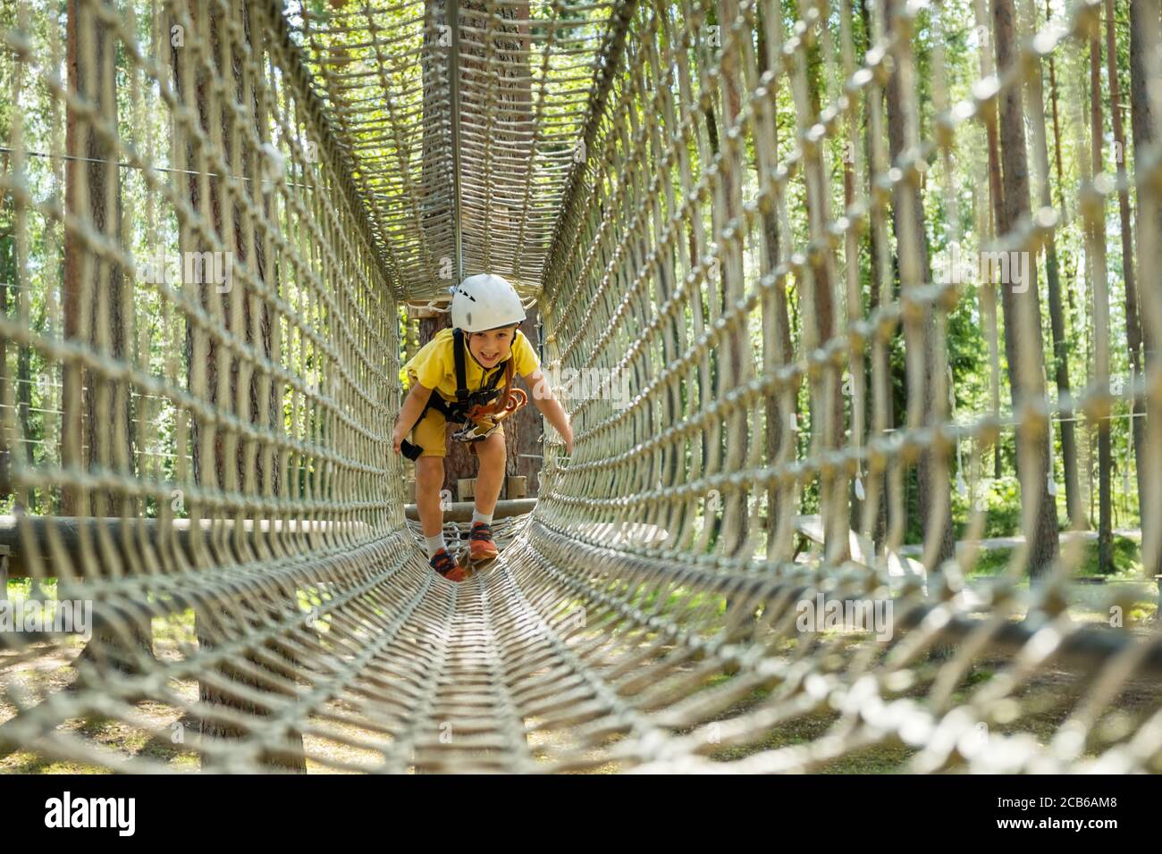 Little boy with climbing gear climbing rope trail between pine trees in ...