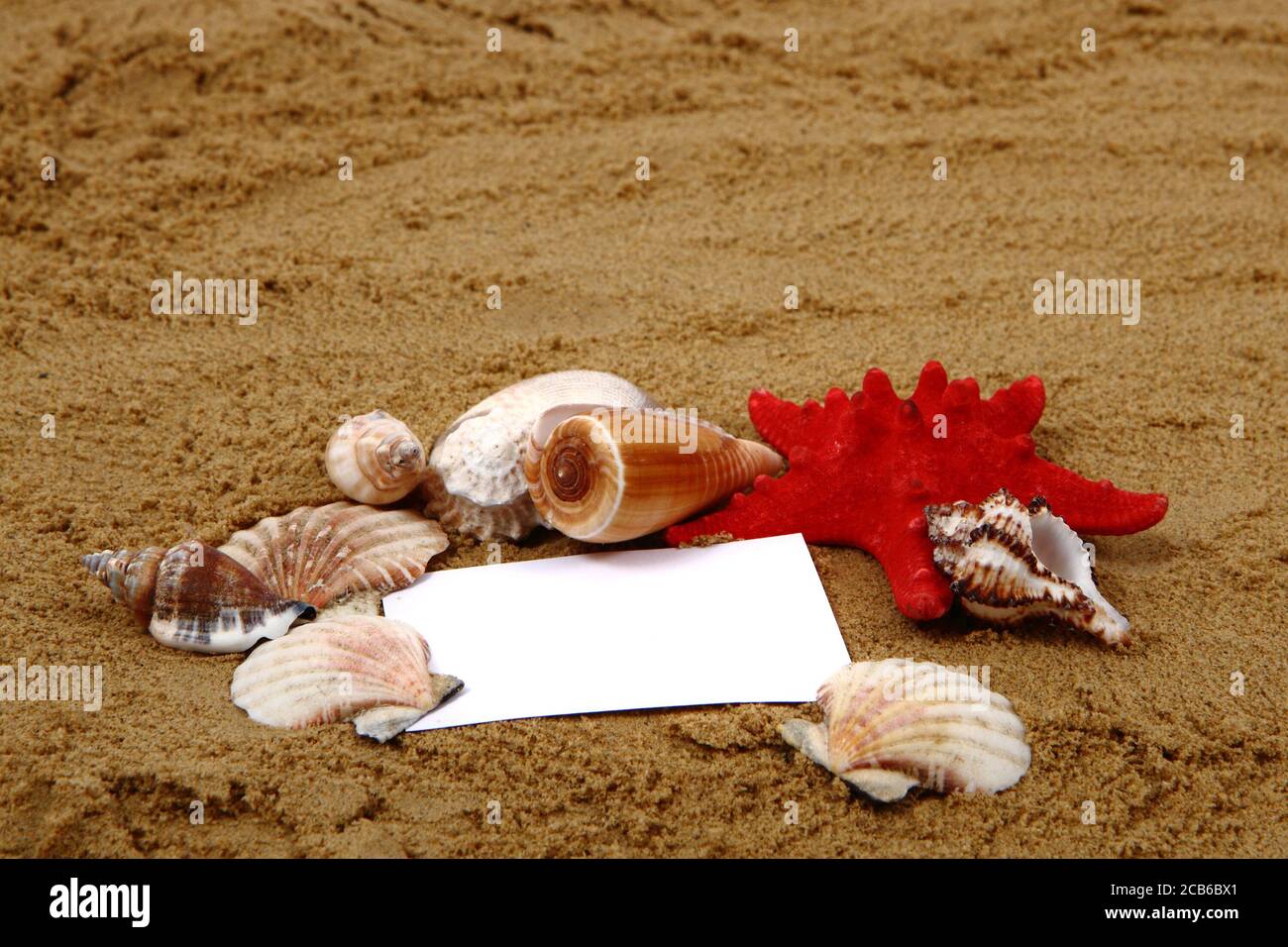 sand, shells and white paper as summer background Stock Photo - Alamy