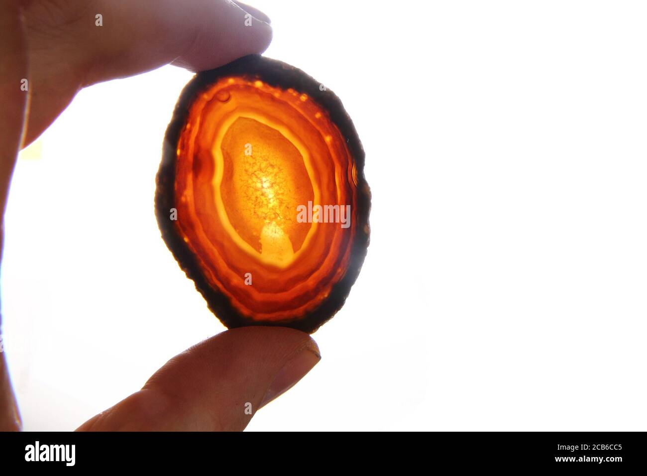 agate gem in human hand isolated on the white background Stock Photo ...