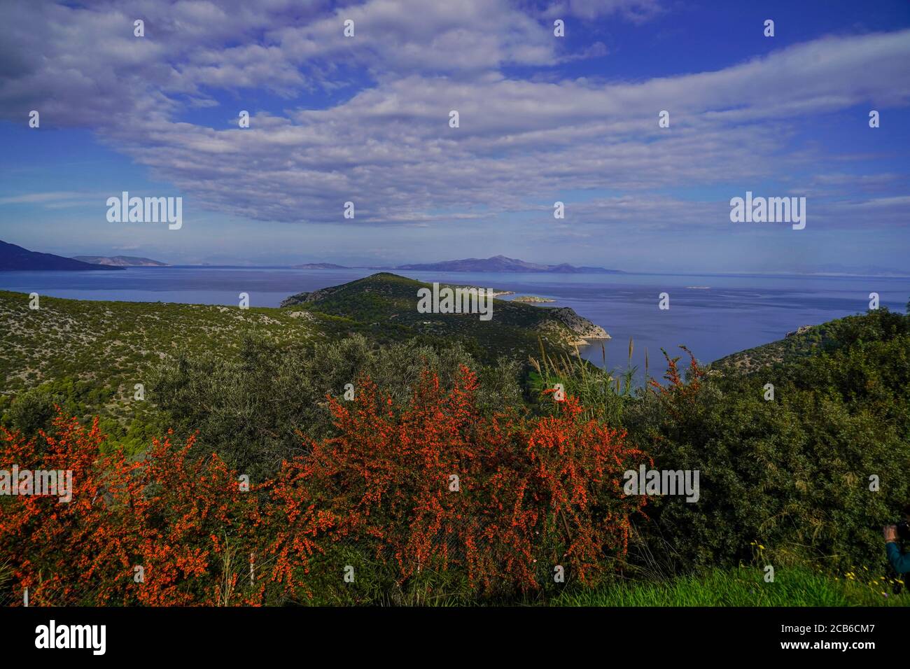 Rural Greek Island landscape Photographed at Poros a small Greek island ...