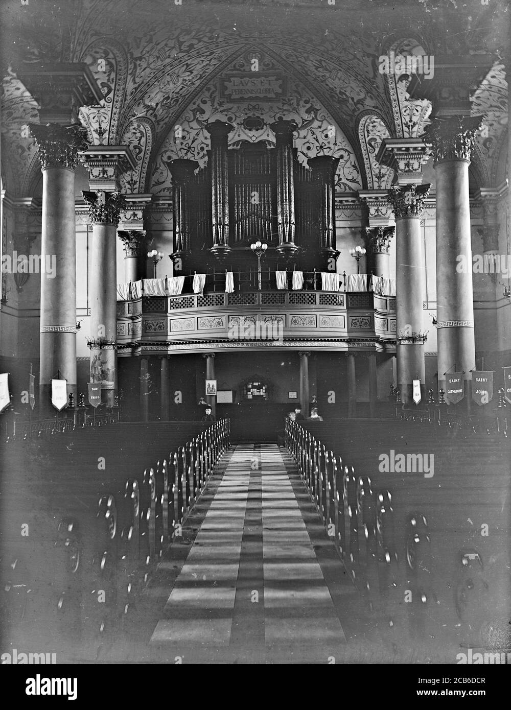 Gods creatures hi-res stock photography and images - Alamy