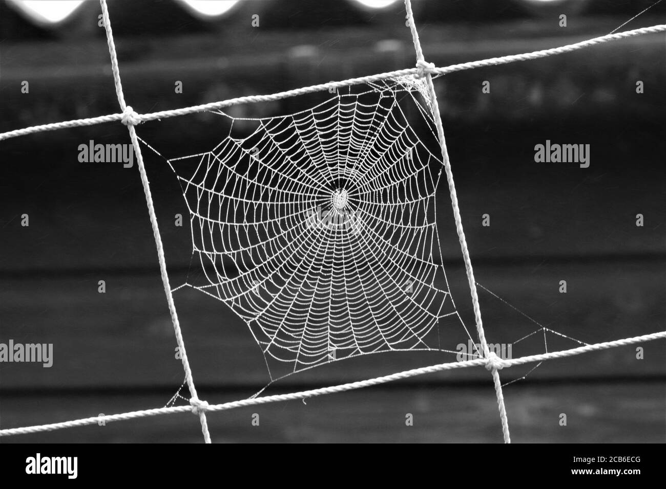 Goal 2020 Black and White Stock Photos & Images - Alamy