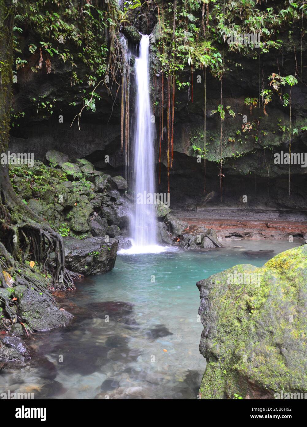 Emerald pool in the rainforest hi-res stock photography and images - Alamy