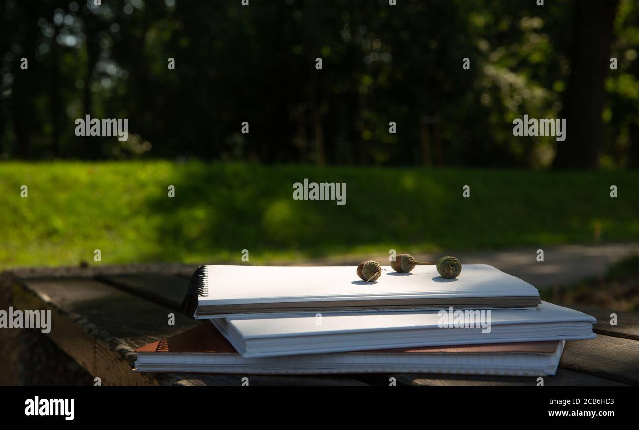 acorns lie on a stack of books with a notebook on a park bench on a ...