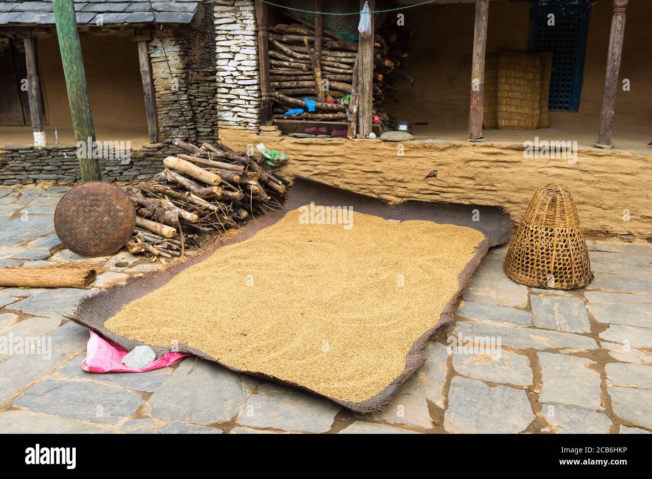 Rice drying hi-res stock photography and images - Alamy