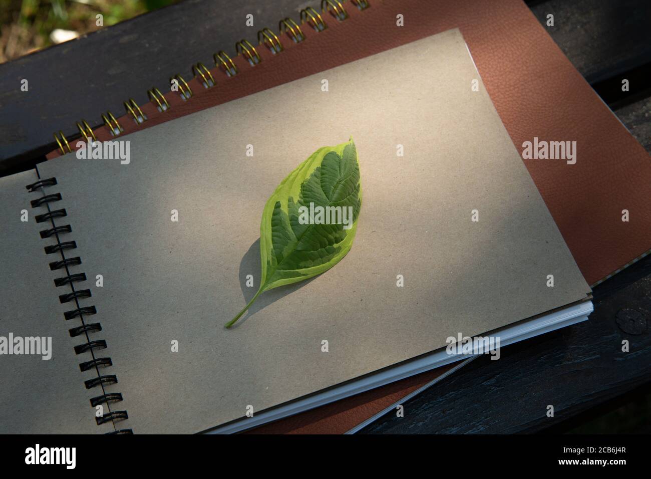 green leaf lies on a notebook on a park bench on a sunny day Stock ...