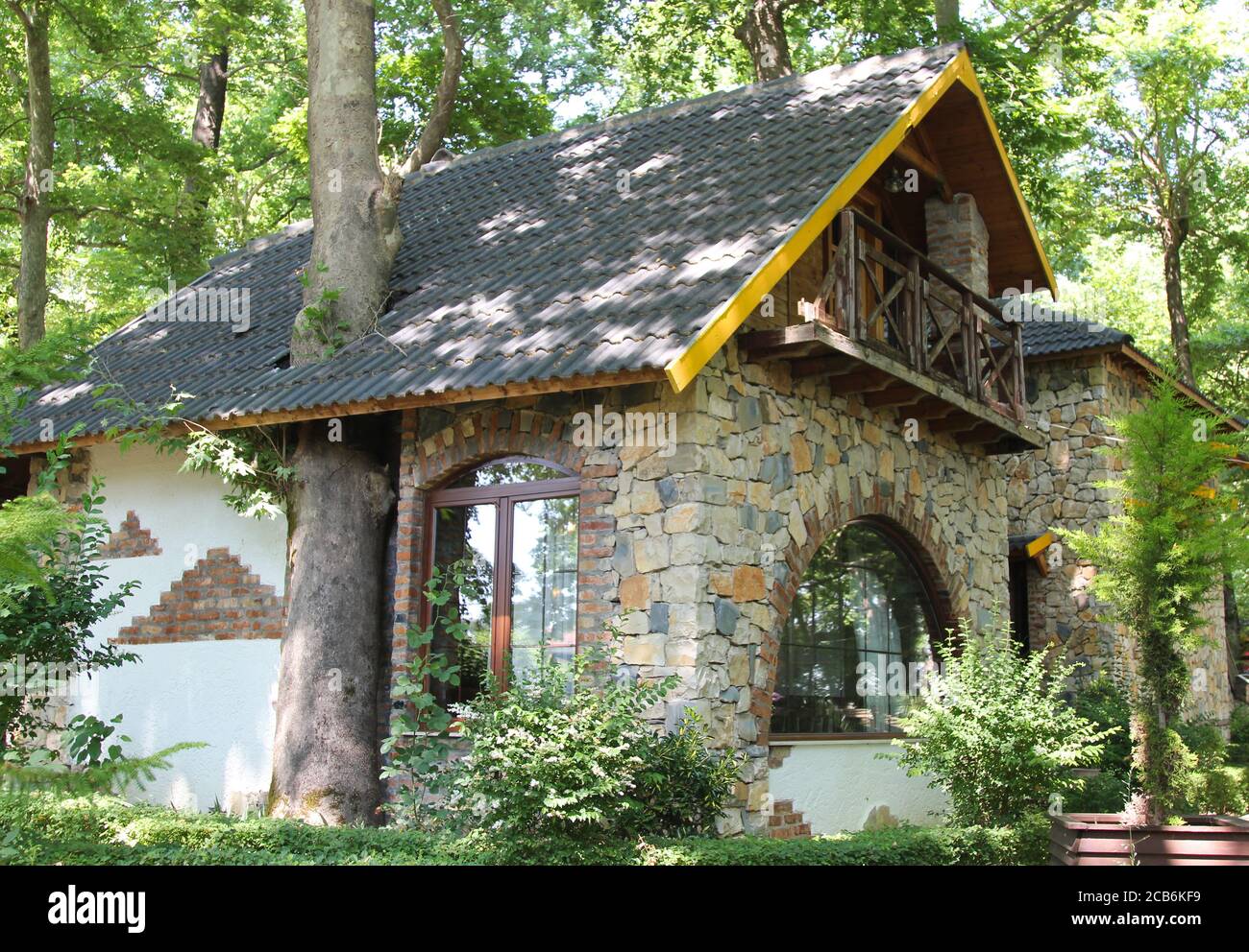 Tree growing through a Building in Albania Stock Photo - Alamy