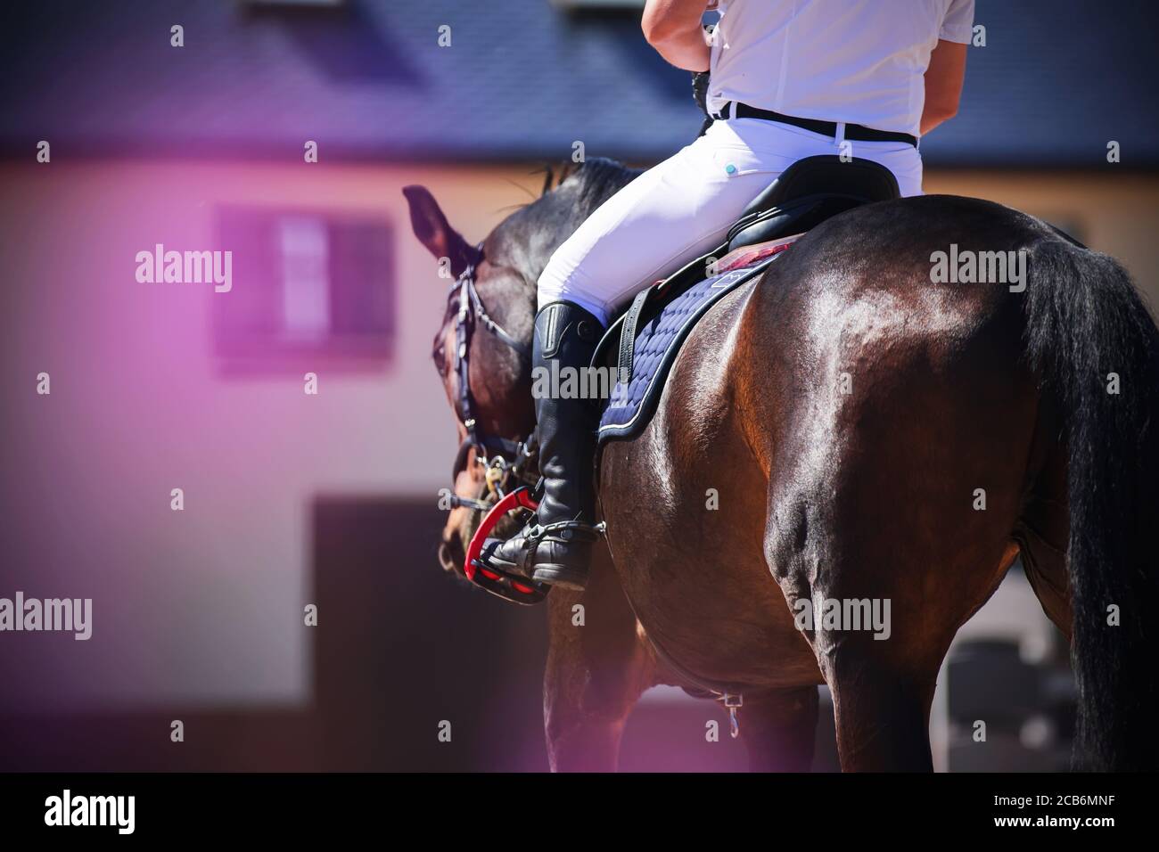 Back view man horseback hi-res stock photography and images - Alamy