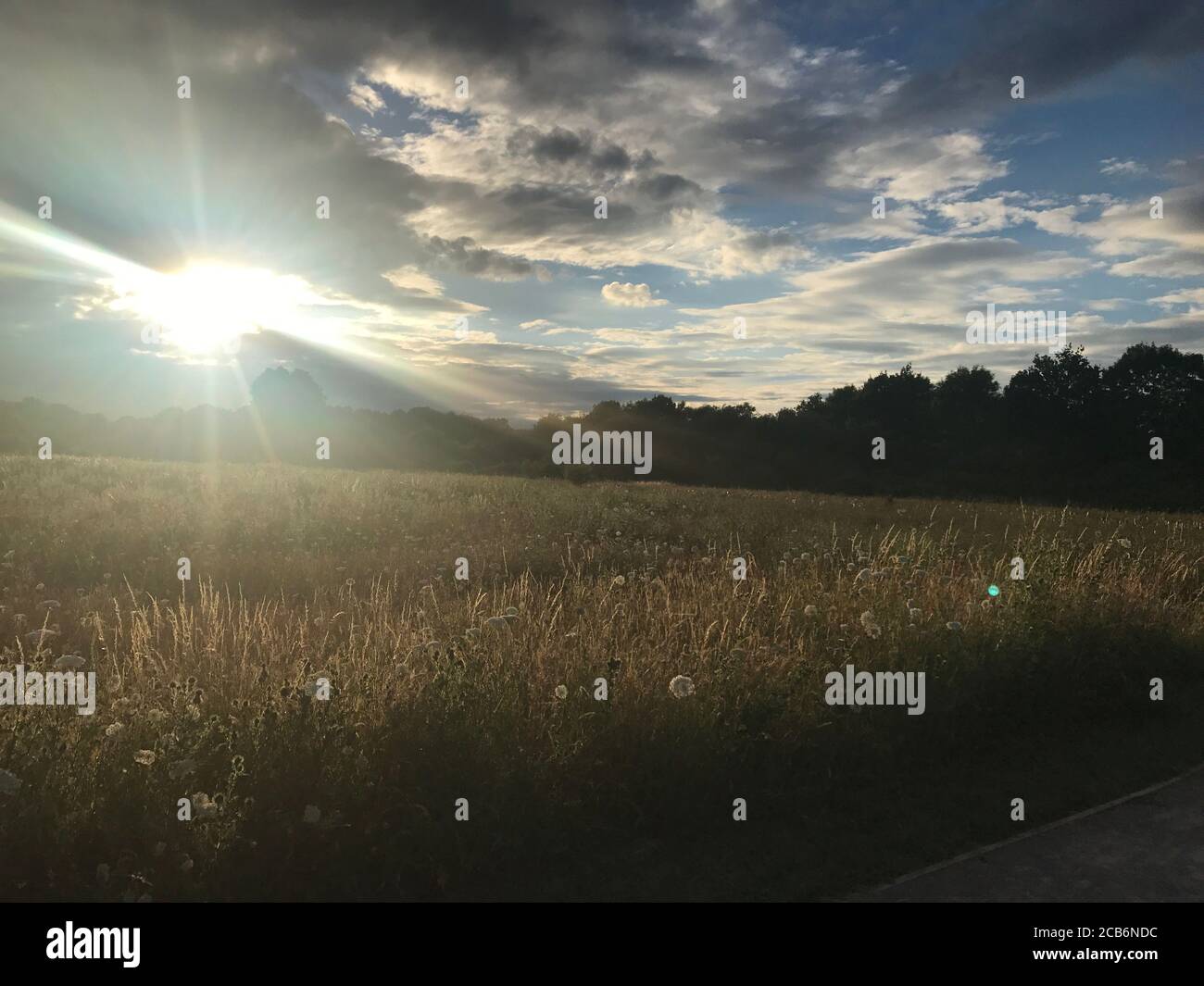 Uk field sunset tree hi-res stock photography and images - Alamy