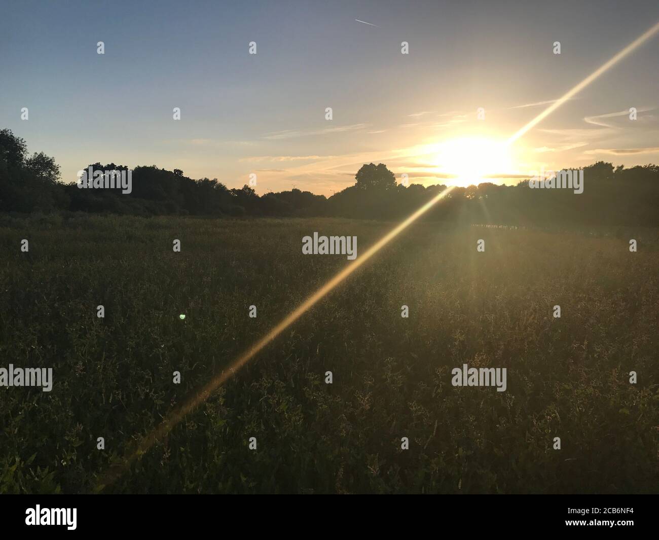 Sun through breaking cloud and trees hi-res stock photography and ...