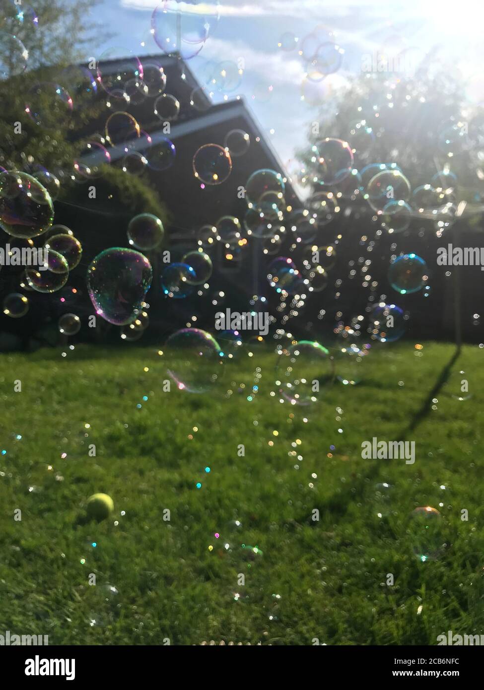 Bubbles Floating Through a Garden in England Stock Photo - Alamy