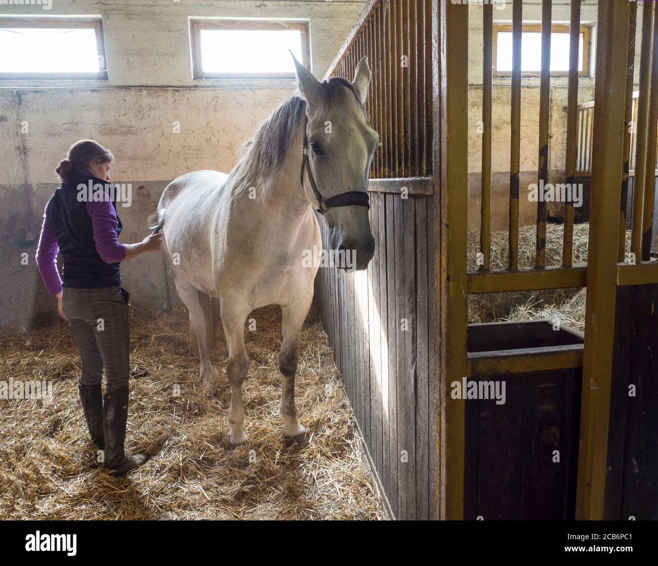 Czech republic, Benice; May 18, 2018: young women grooming standing ...