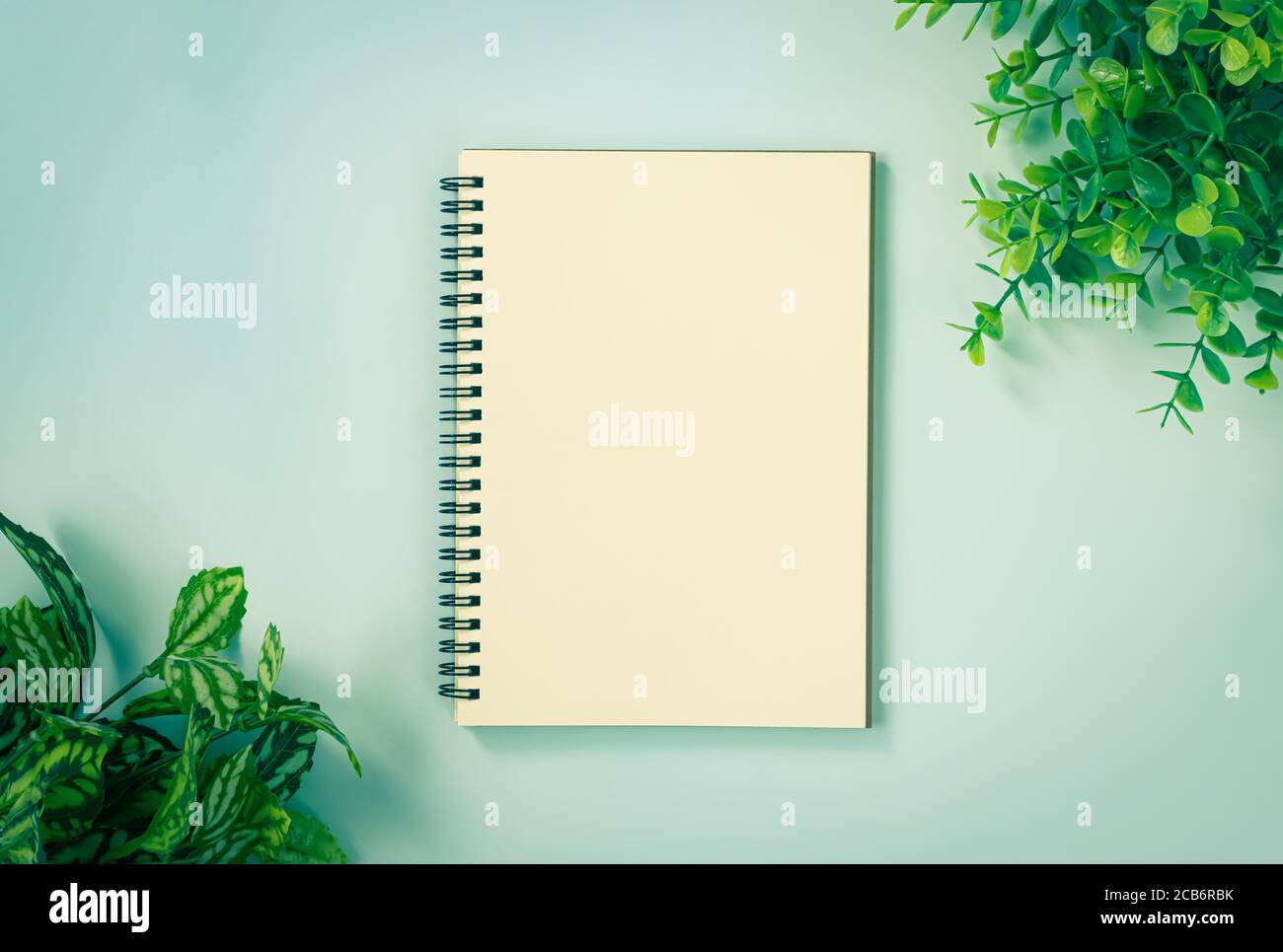 Spiral Notebook or Spring Notebook in Unlined Type and Office Plants at ...