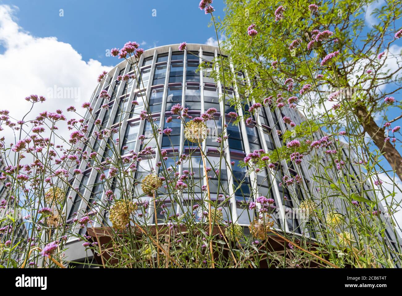 Birmingham Library 2020 High Resolution Stock Photography and Images ...