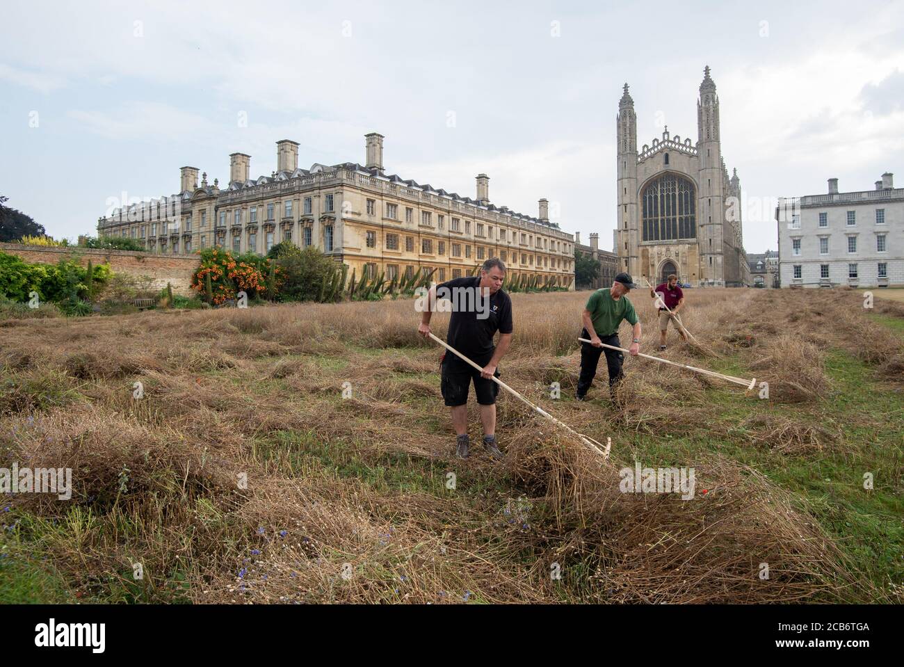 Lawn area in lush hi-res stock photography and images - Alamy