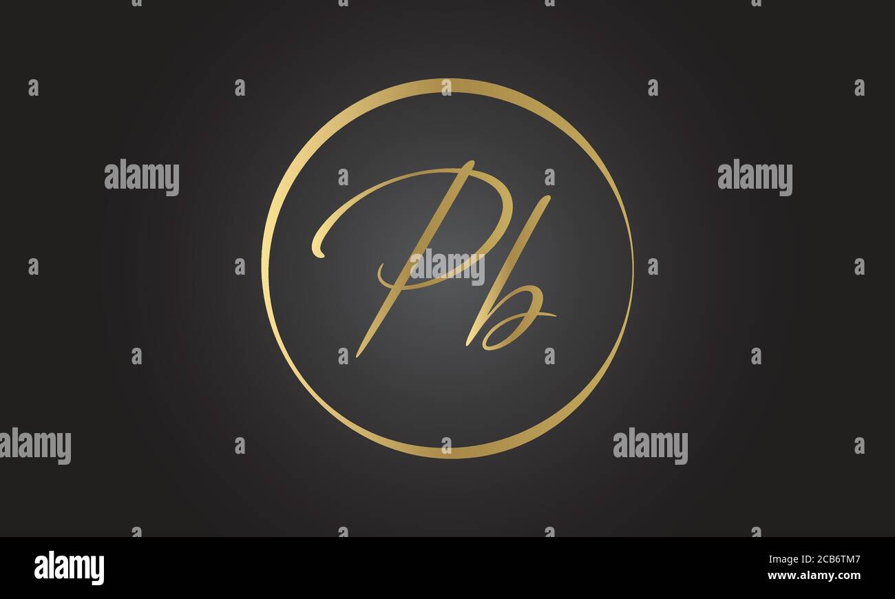 Initial PB Letter Logo With Creative Modern Business Typography Vector ...