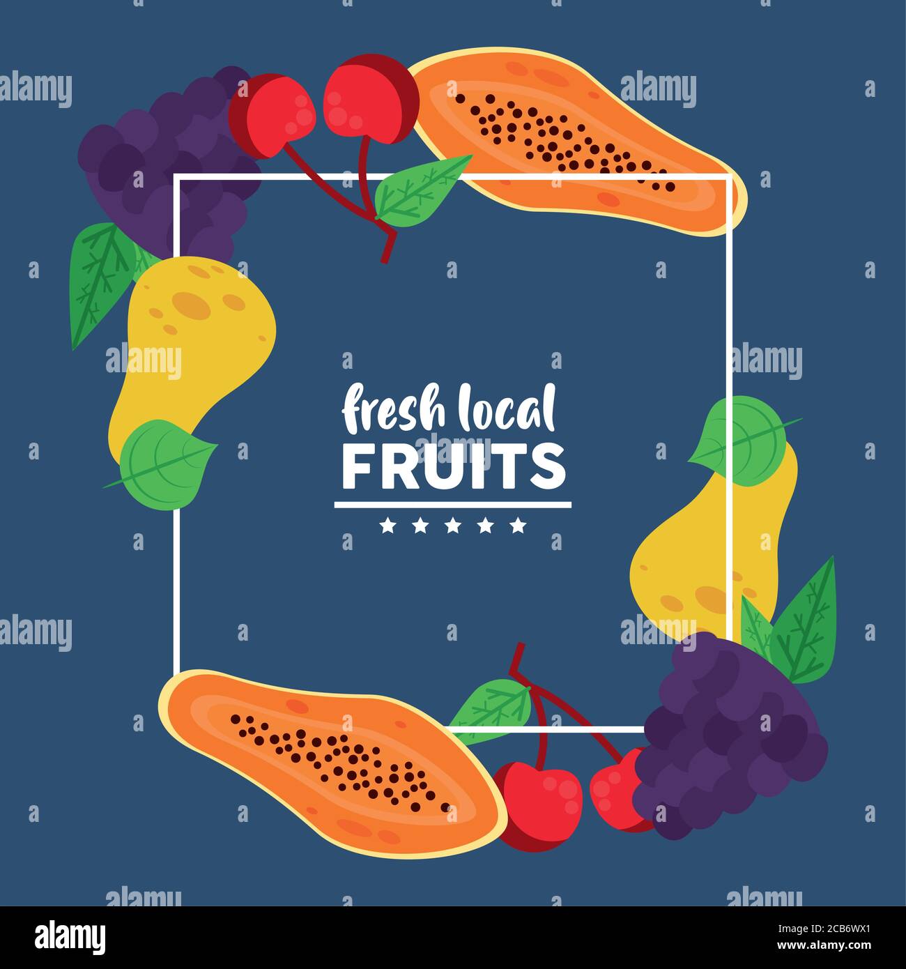 fresh local fruits with papayas in blue background vector illustration ...