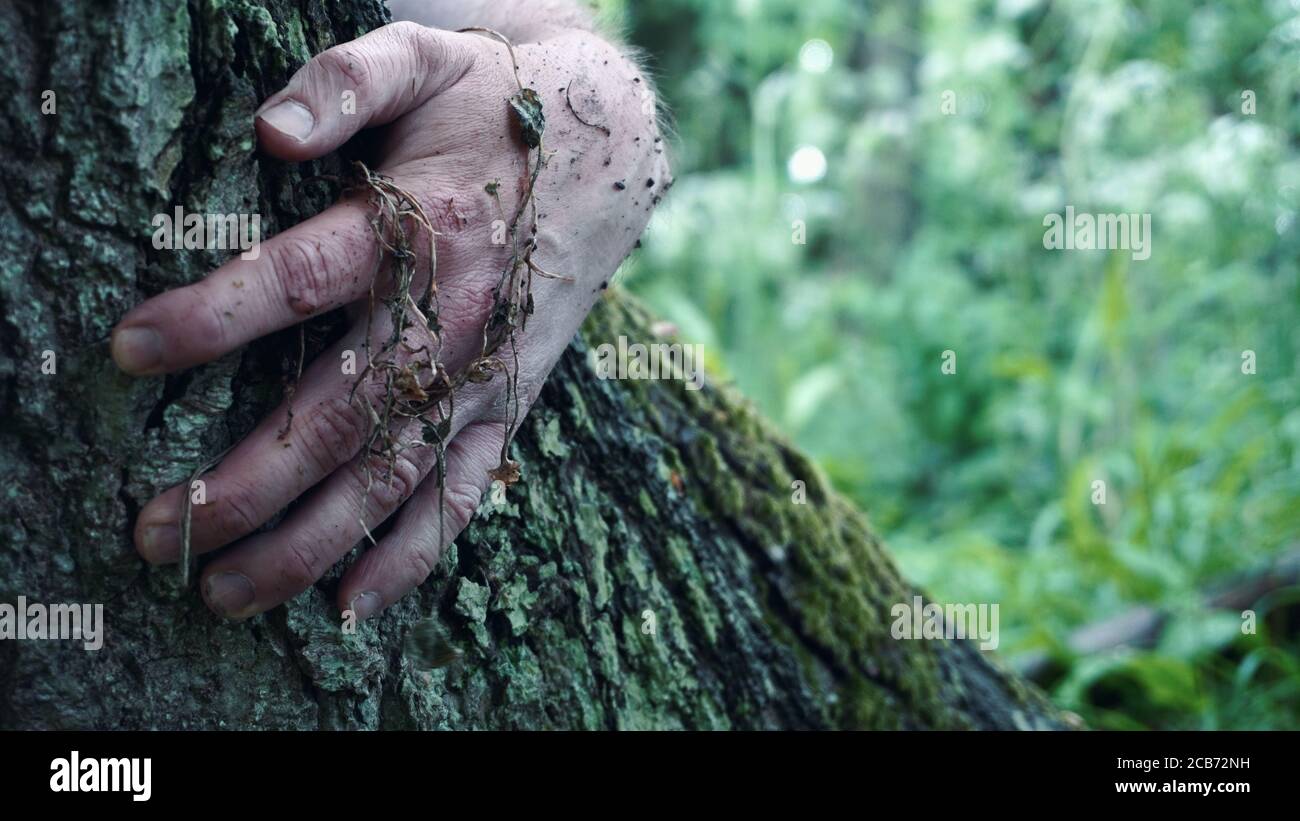 Horror plants hi-res stock photography and images - Alamy