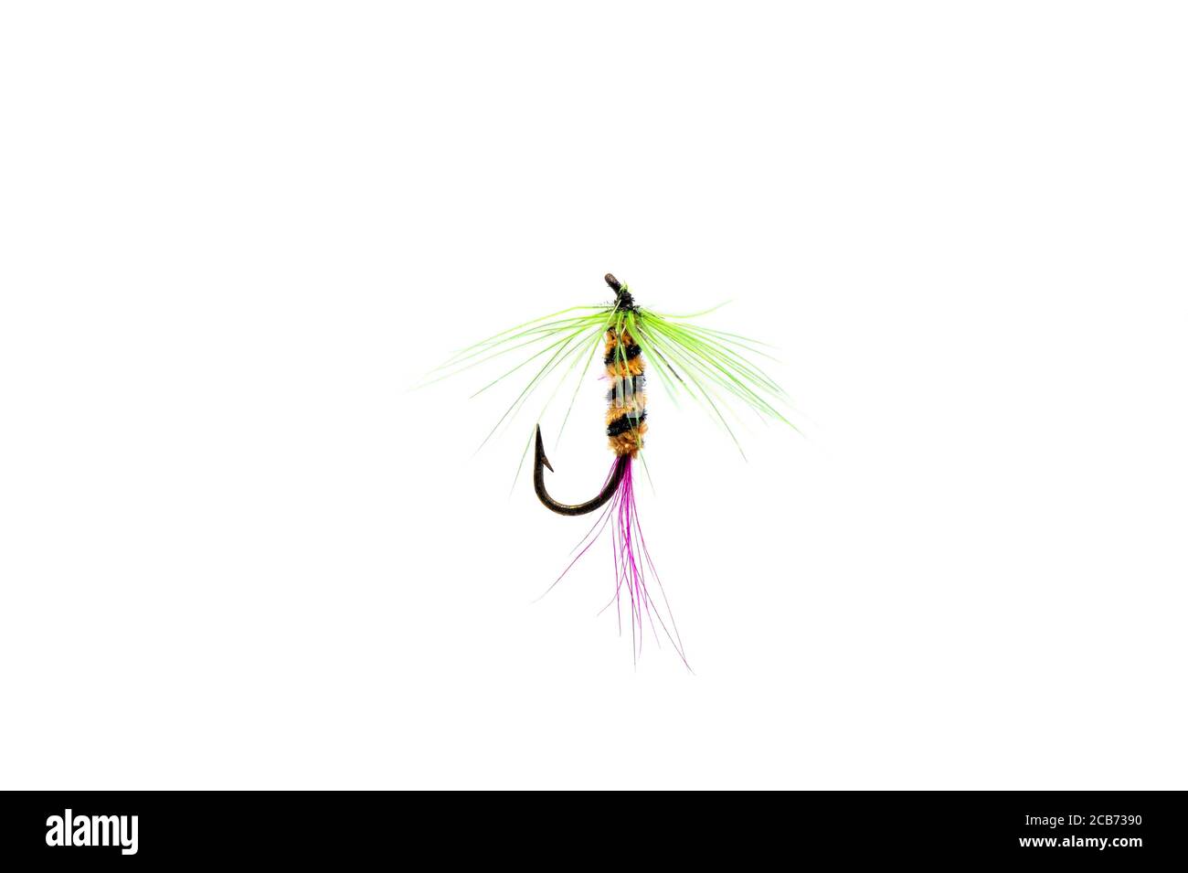 Close-up of a colorful fishing fly on a white background Stock Photo ...