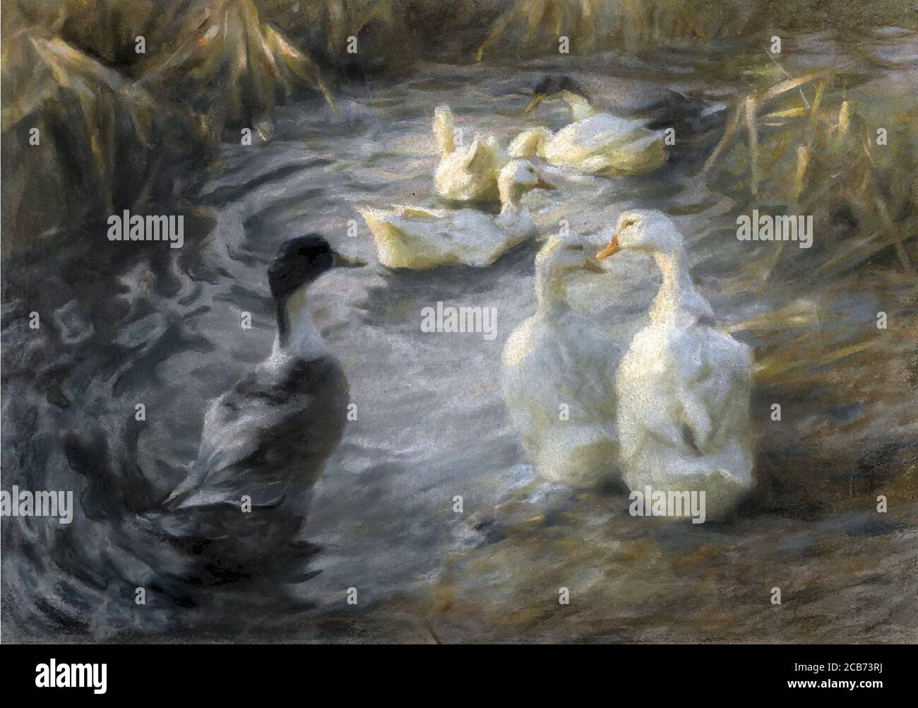 Koester Alexander - Ducks Among Reeds in a Pond - German School - 19th ...