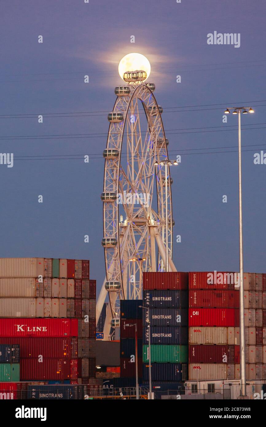 Melbourne Star at Dusk in Melbourne Australia Stock Photo - Alamy