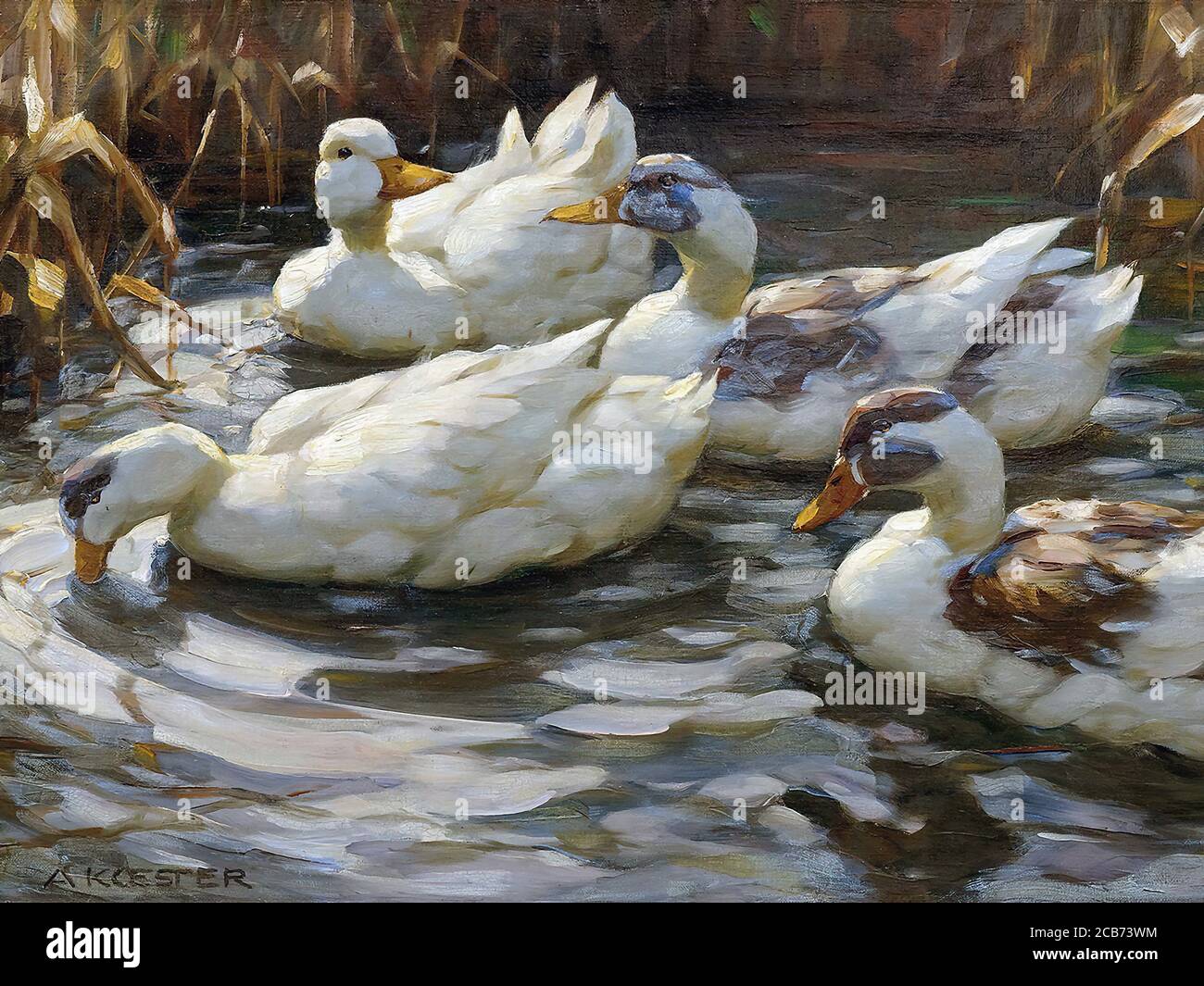 Koester Alexander - Ducks in a Pond 3 - German School - 19th and Early ...