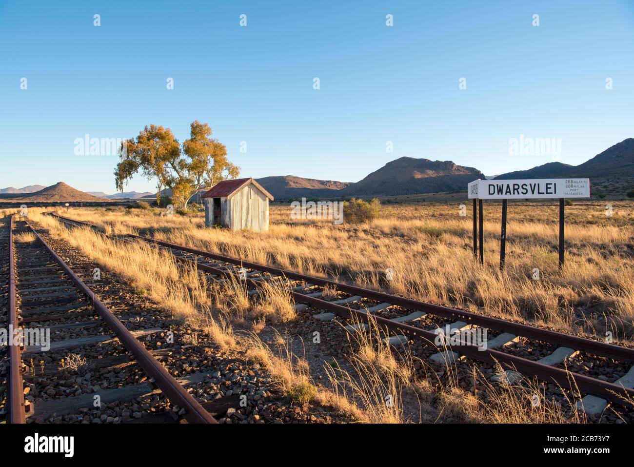 Tree line track hi-res stock photography and images - Alamy