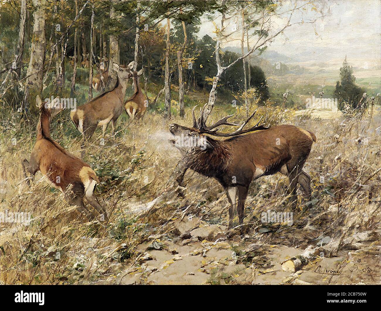 Rudel hi-res stock photography and images - Alamy