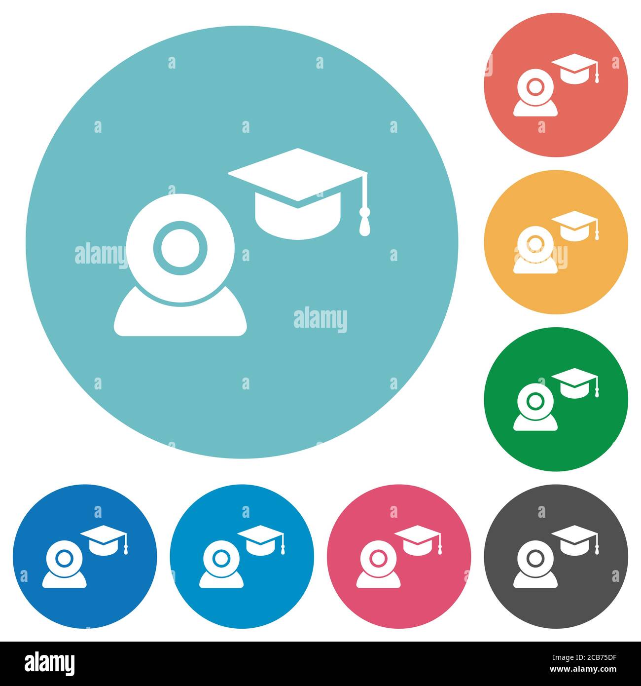 Distance learning flat white icons on round color backgrounds Stock ...
