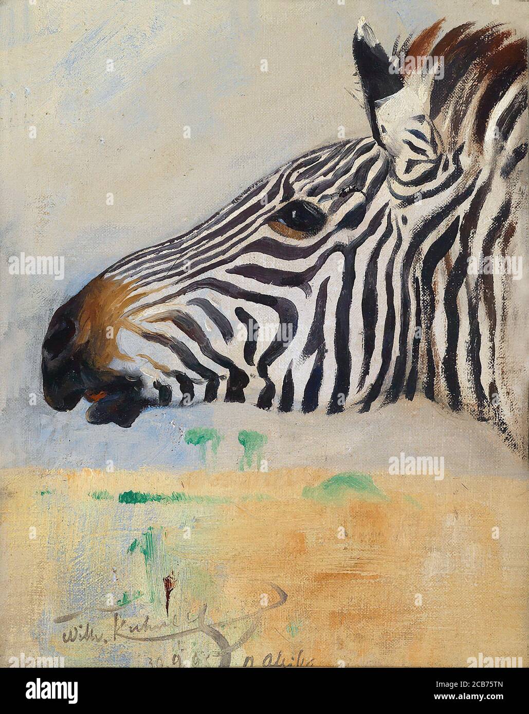 Kuhnert Wilhelm - a Zebra - German School - 19th Century Stock Photo ...