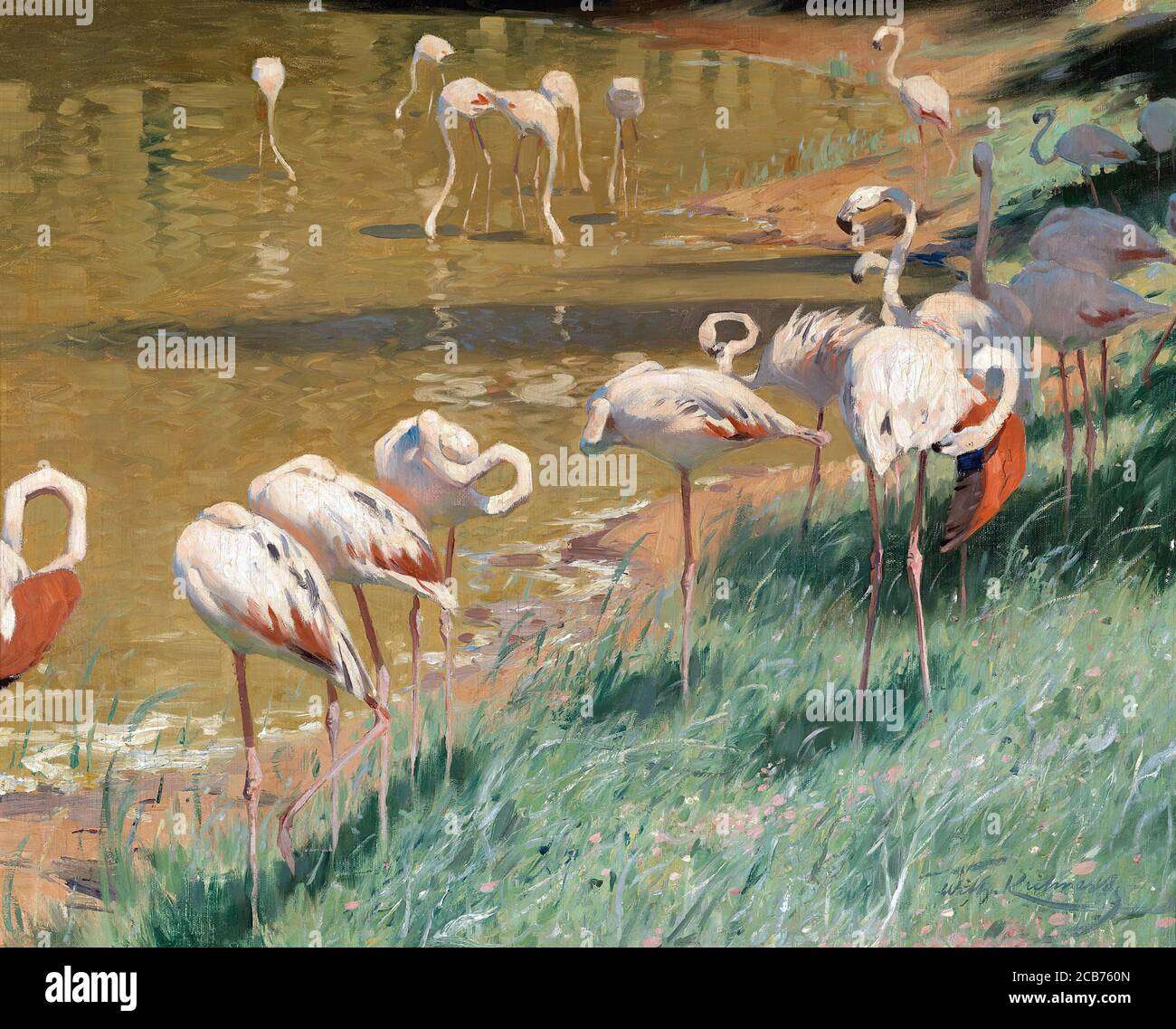 Kuhnert Wilhelm - Flamingos - German School - 19th and Early 20th ...