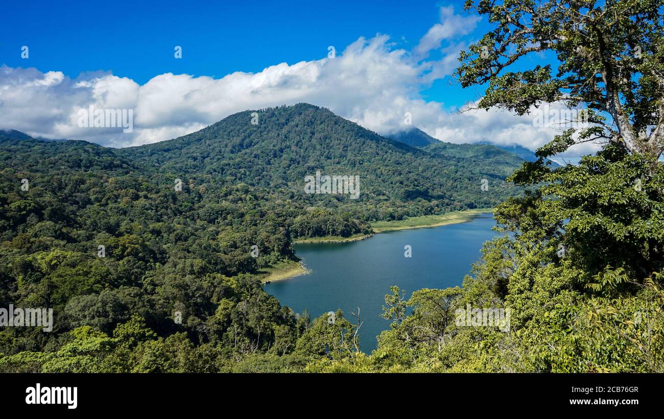 Dense tropical hi-res stock photography and images - Alamy