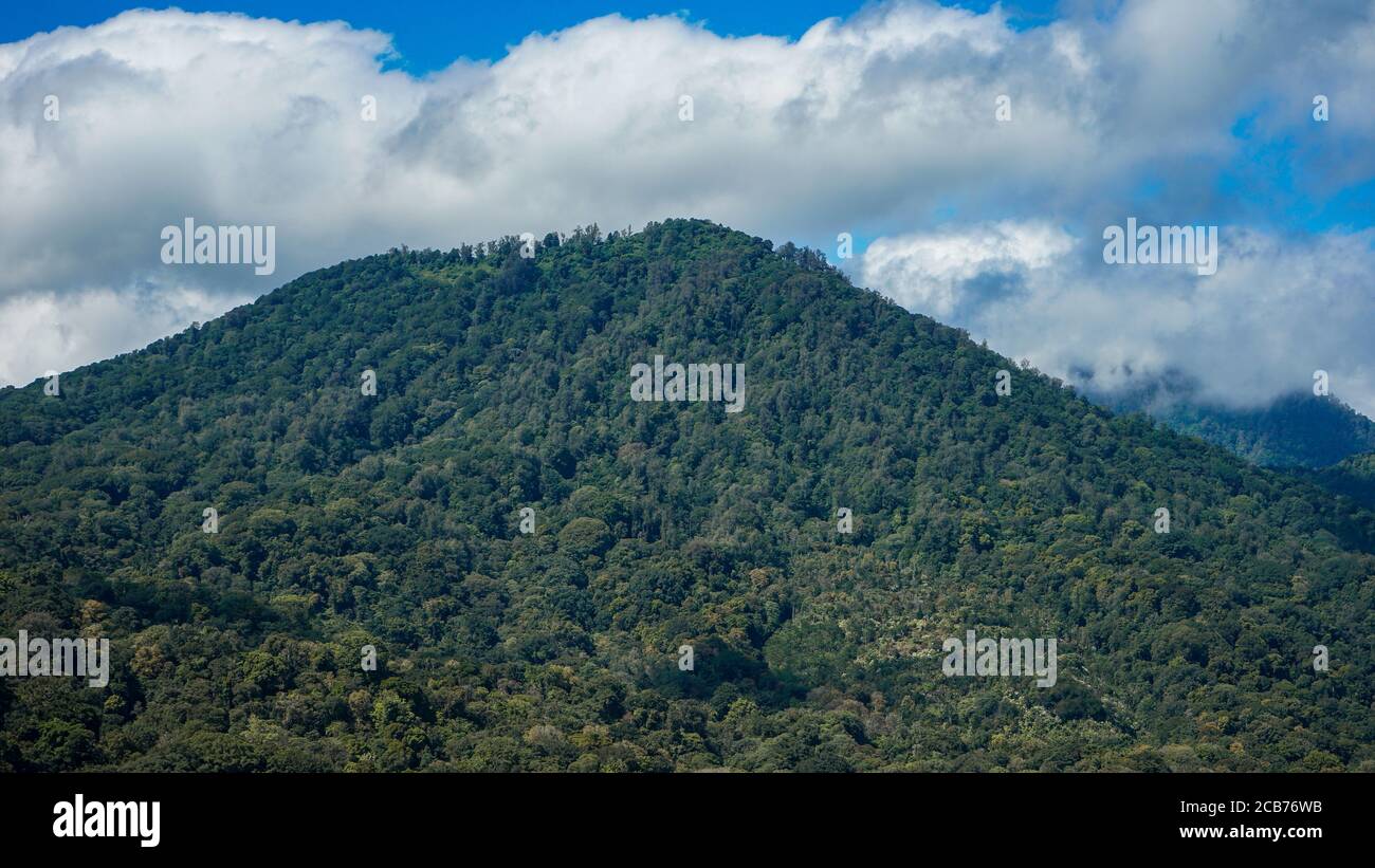Natural landscapes of forests and mountains in beautiful tropical ...