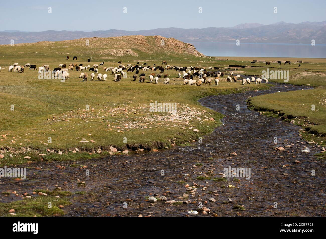 Scenes from Son Kol Lake in Kyrgyzstan's Naryn Oblast Stock Photo - Alamy